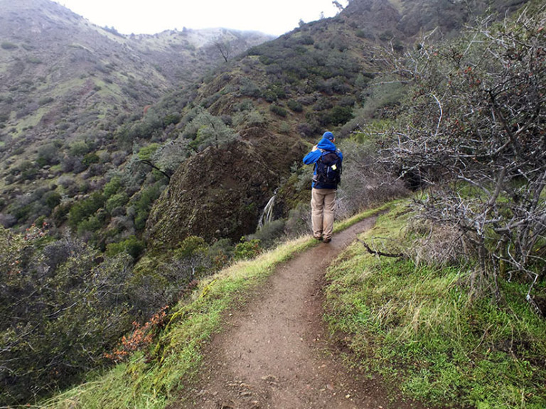 Falls Trail Loop at Mount Diablo – NorCal Hiker