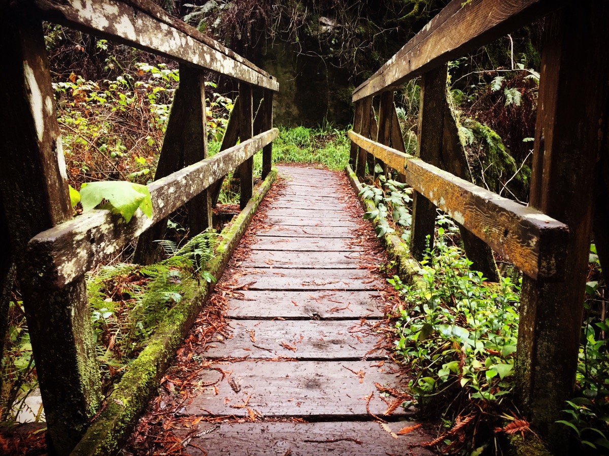 Dipsea, Steep Ravine and Matt Davis Trail Loop – NorCal Hiker